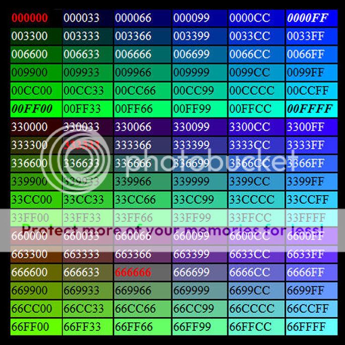 zoiham got their homepage at Neopets.com