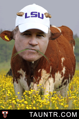 Les Miles is a very good coach.