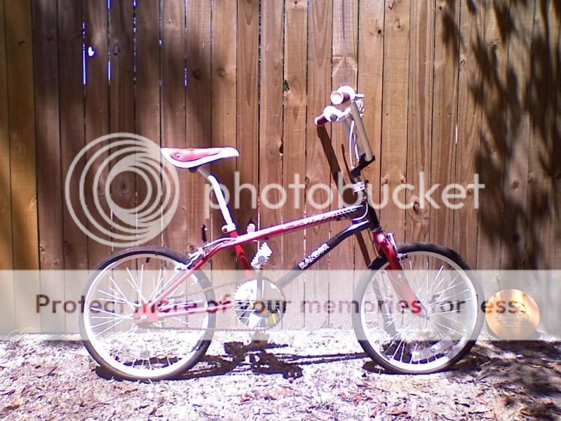 1986 Randor Freestyle - BMXmuseum.com Forums