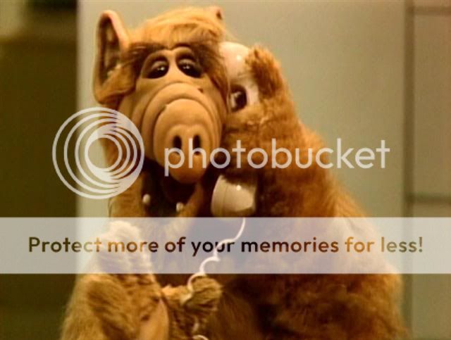 FARK.com: (3170036) Animal Liberation Front (ALF) floods home of ...