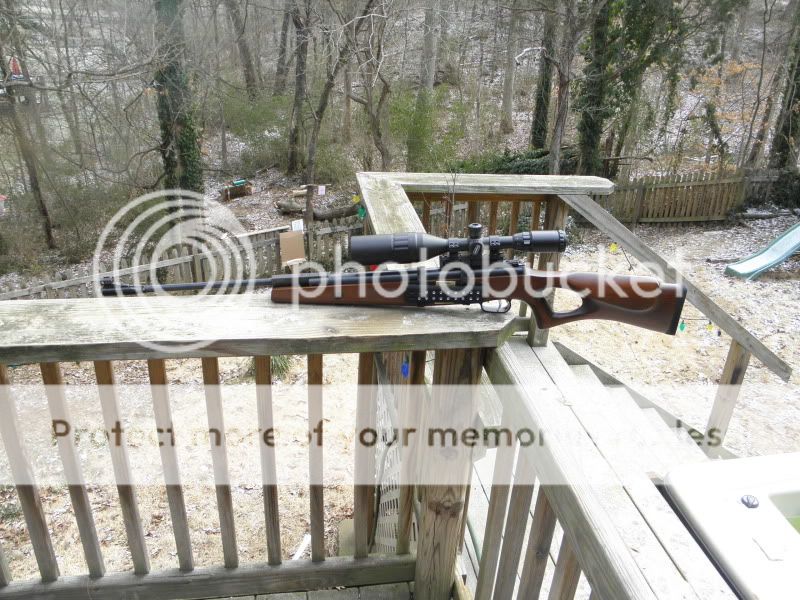 what is the most powerful springer in .22 and .25? - Airguns & Guns Forum