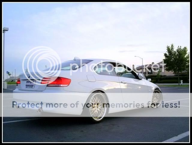 Gold Wheels too much?