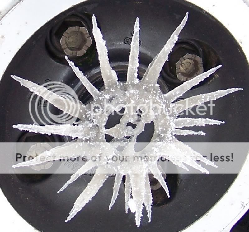 snowflake photo | VW Vortex - Volkswagen Forum