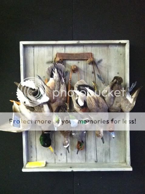 Strap Limit Mount | Duck Hunting Forum