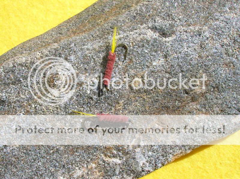 Maple Syrup - Fly Tying - Maine Fly Fish