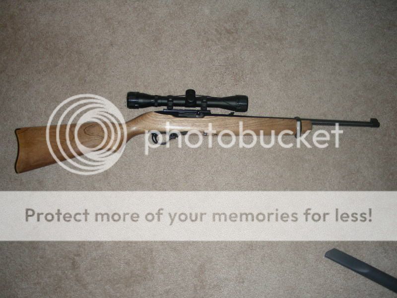 DIY Mods? | Rimfire Central Firearm Forum